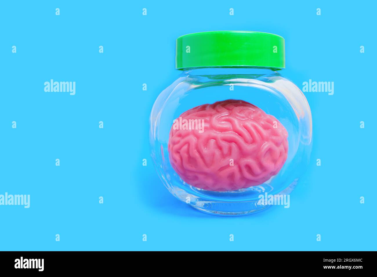 Close-up of a miniature human brain replica preserved in a glass jar ...