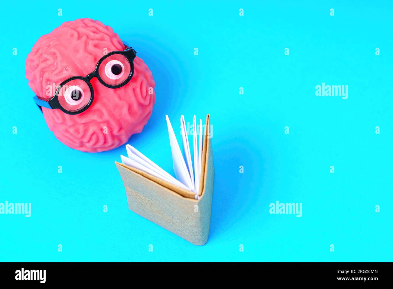 Cute buddy made from a human brain model, googly eyes and nerdy glasses ...