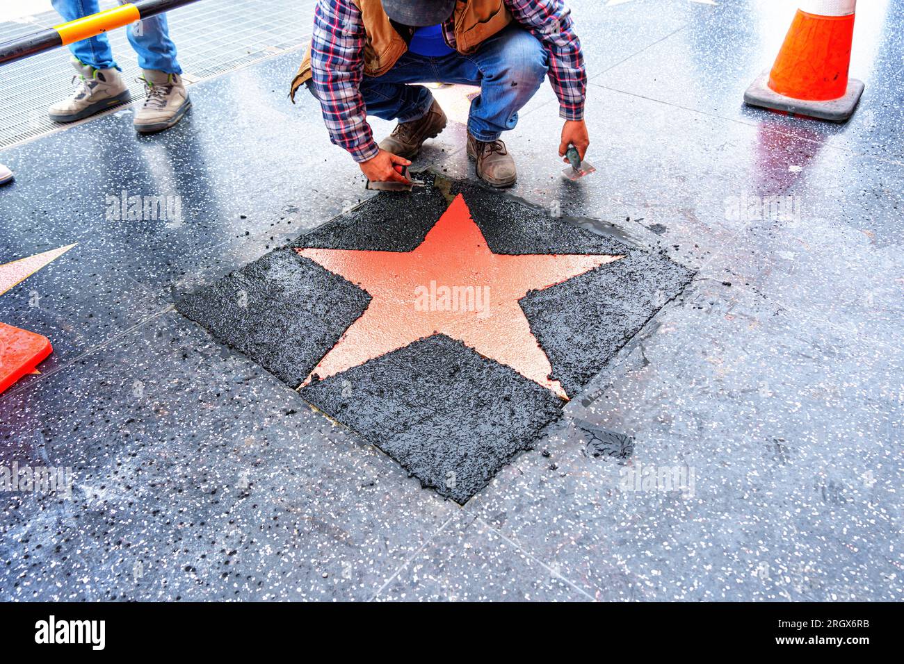Top-down view of the process of laying down a new coral star on the ...