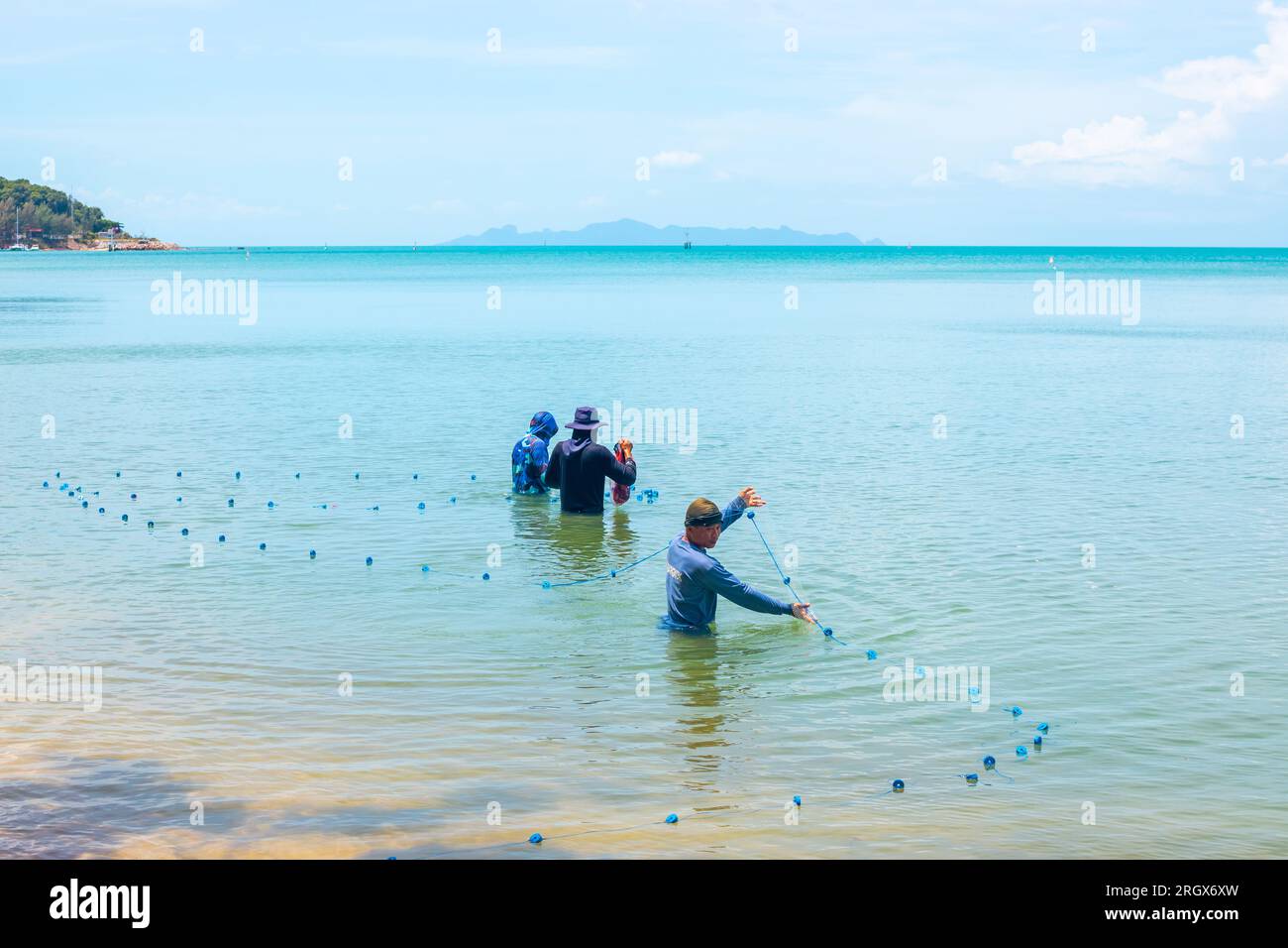 Fishermen stand in sea water and pull a net with fish. The locals are ...