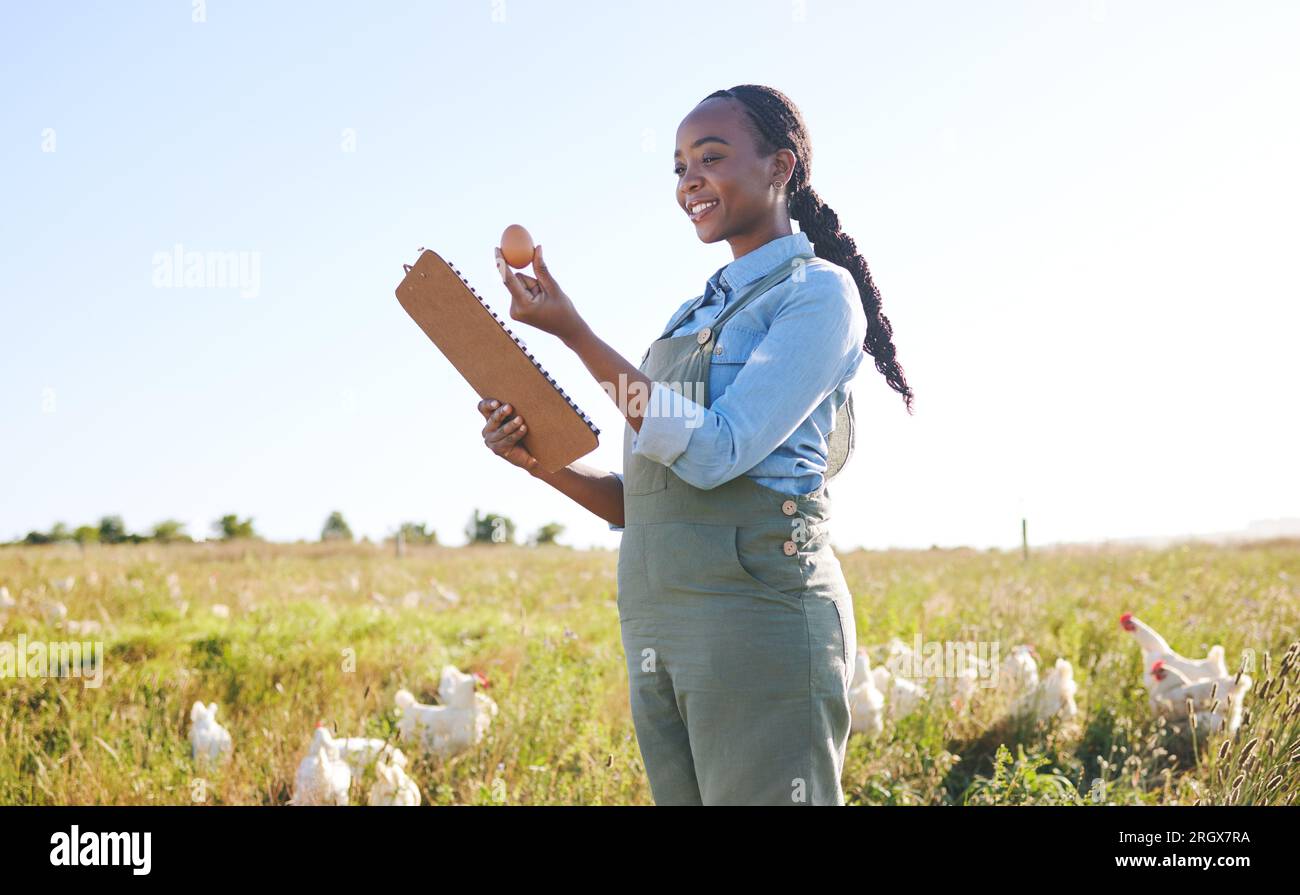 Woman in field with chickens, clipboard and egg, quality assurance and ...