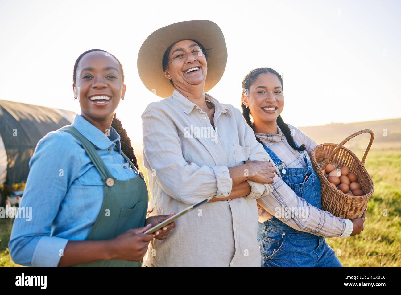 Chicken farm, women portrait and happy with farmer web management and ...