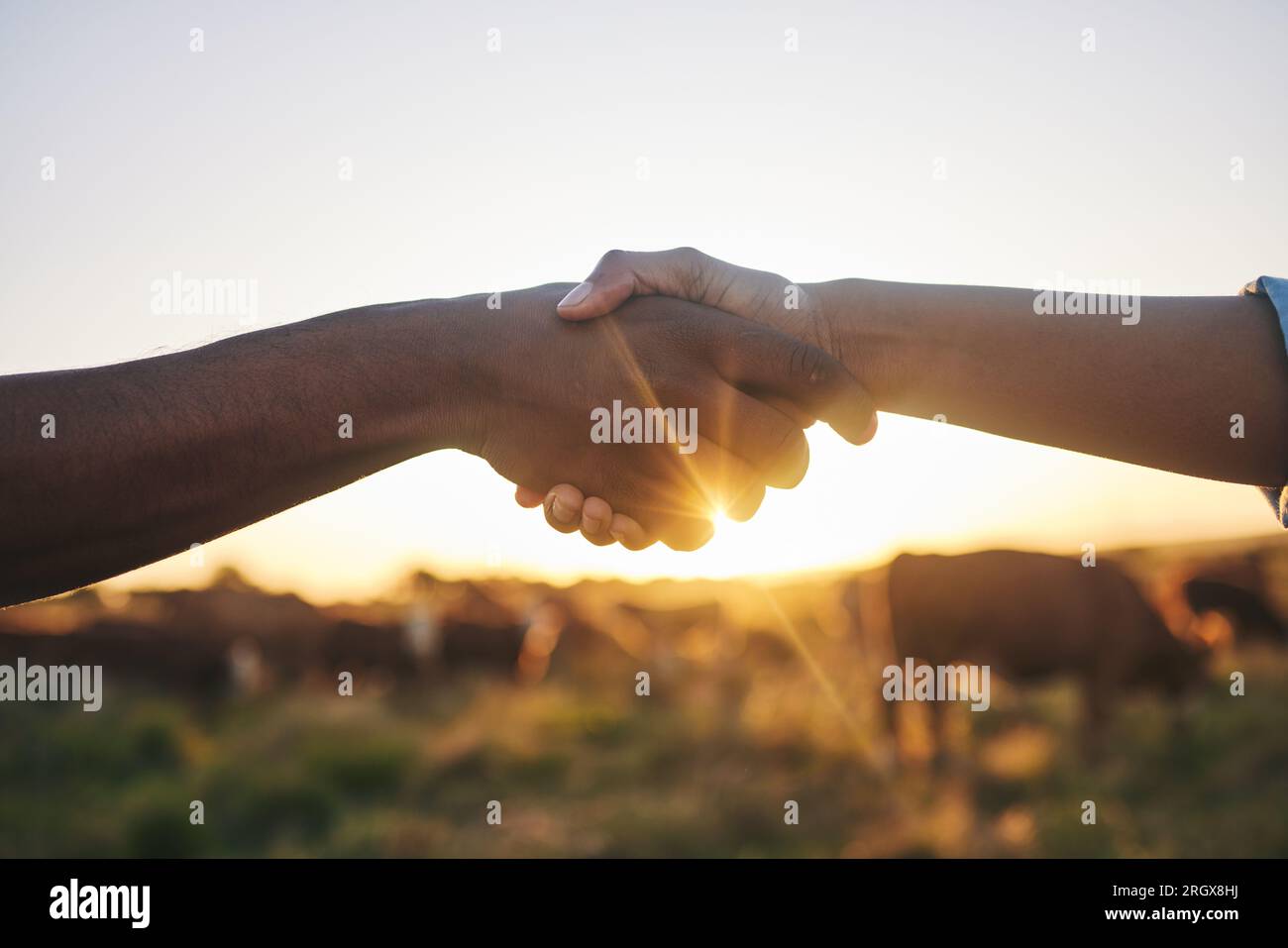 Welcome, handshake and people with b2b farm deal for agriculture ...