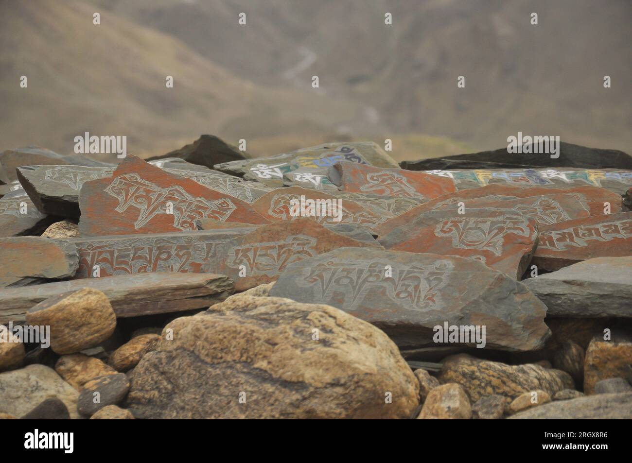 Stones inscribed with Buddhist mantra Om Mani Padme Hum in Ladakh ...