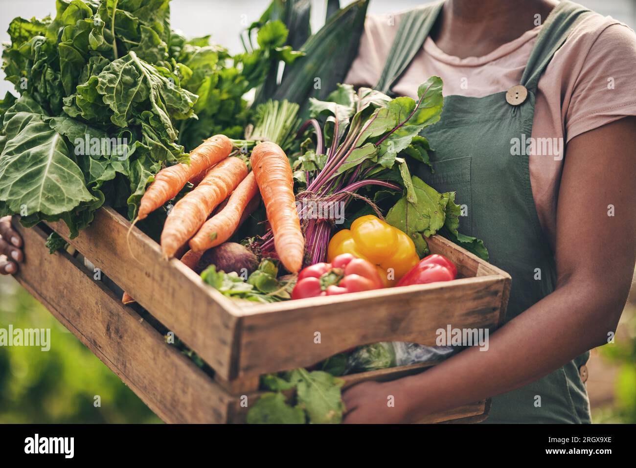 Sustainability supply chain hi-res stock photography and images - Alamy