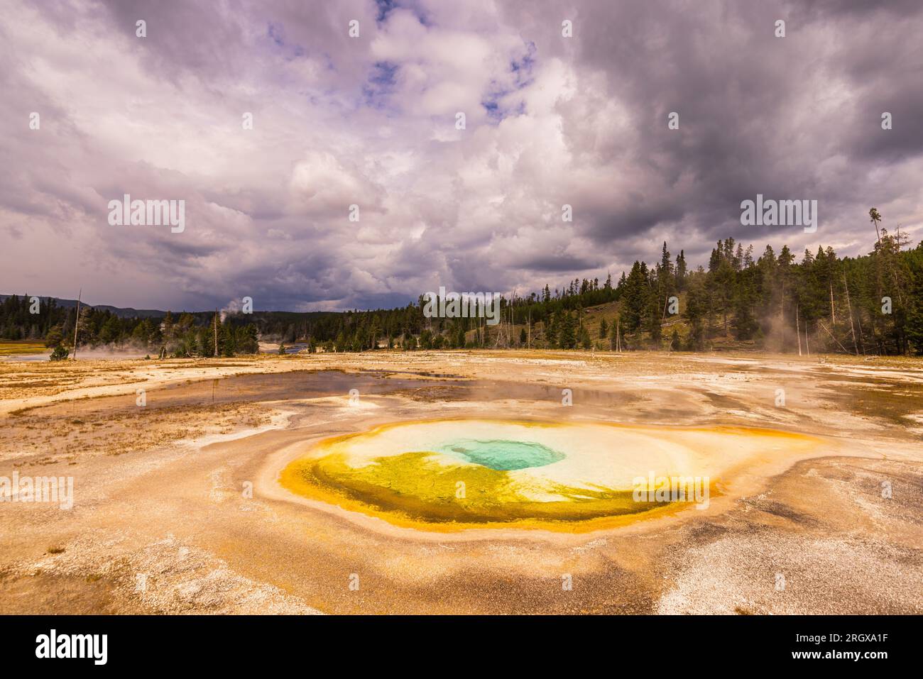 Hot spring yellowstone algae hi-res stock photography and images - Alamy