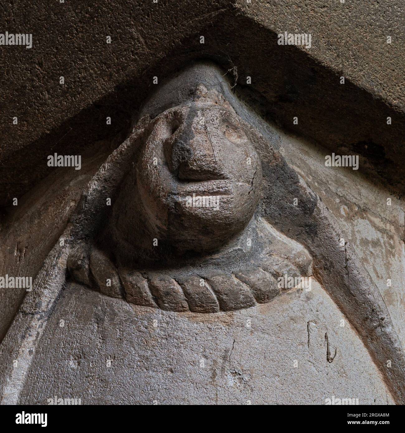 Follower of william the conqueror hi-res stock photography and images ...