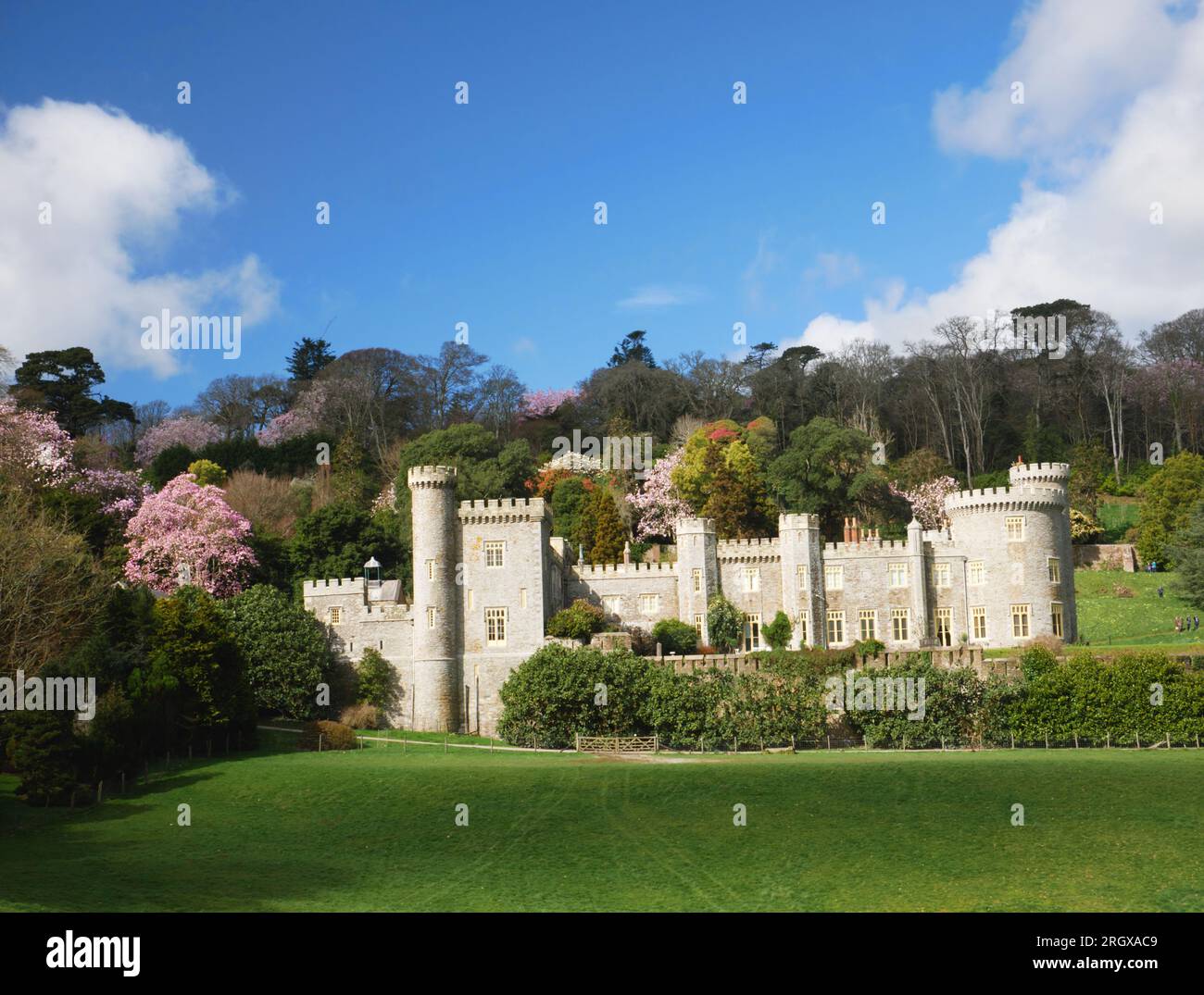 Caerhays Castle and Spring Gardens, Cornwall Stock Photo - Alamy