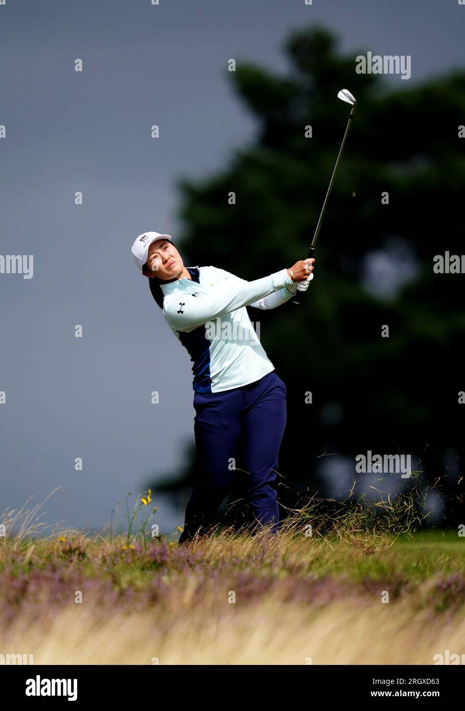 Janet lin hi-res stock photography and images - Alamy