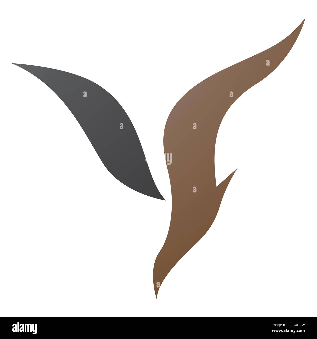 Brown and Black Diving Bird Shaped Letter Y Icon on a White Background ...
