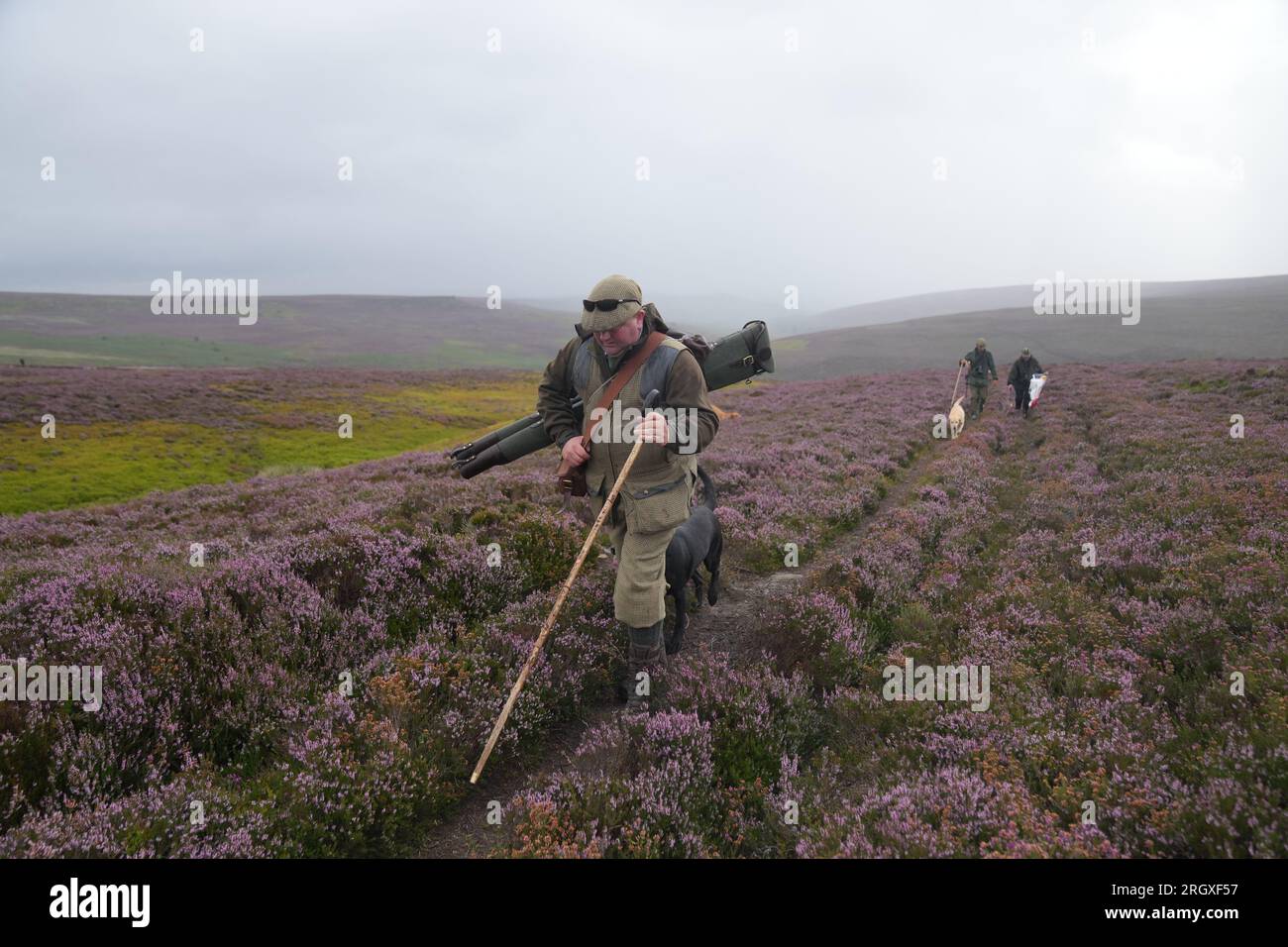 A shooting party on the moors in North Yorkshire as the Glorious 12th ...