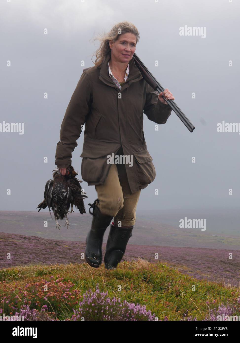 A woman carries grouse and during a shooting party on the moors in ...