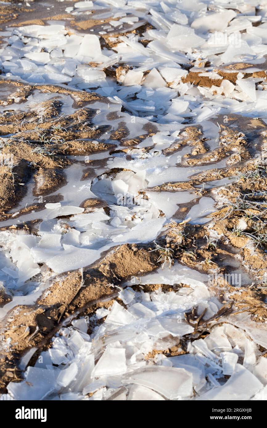 a thick layer of ice formed on the territory of the field after rains ...