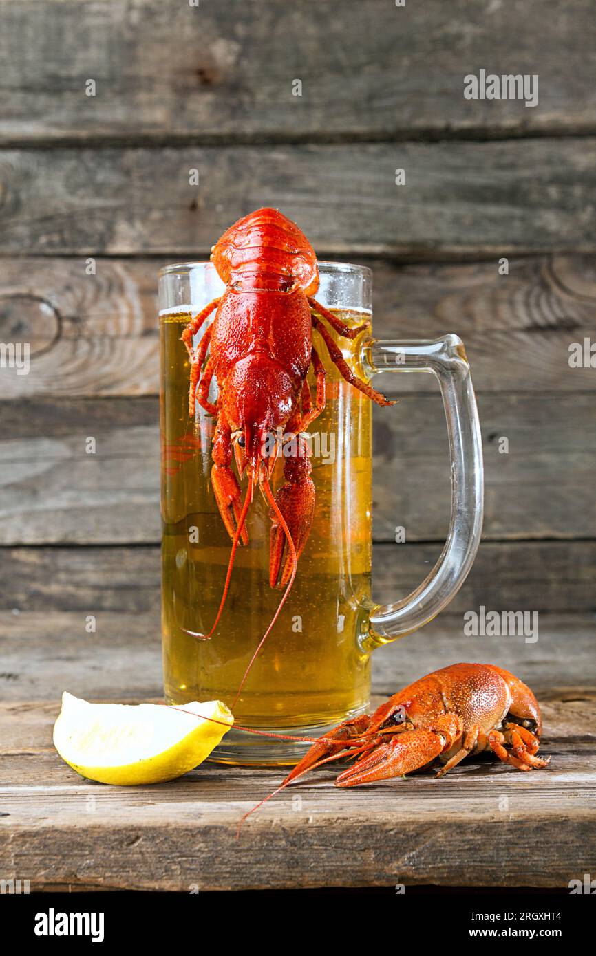 Beer party. Still life with glass of beer, crayfish crawfish against ...