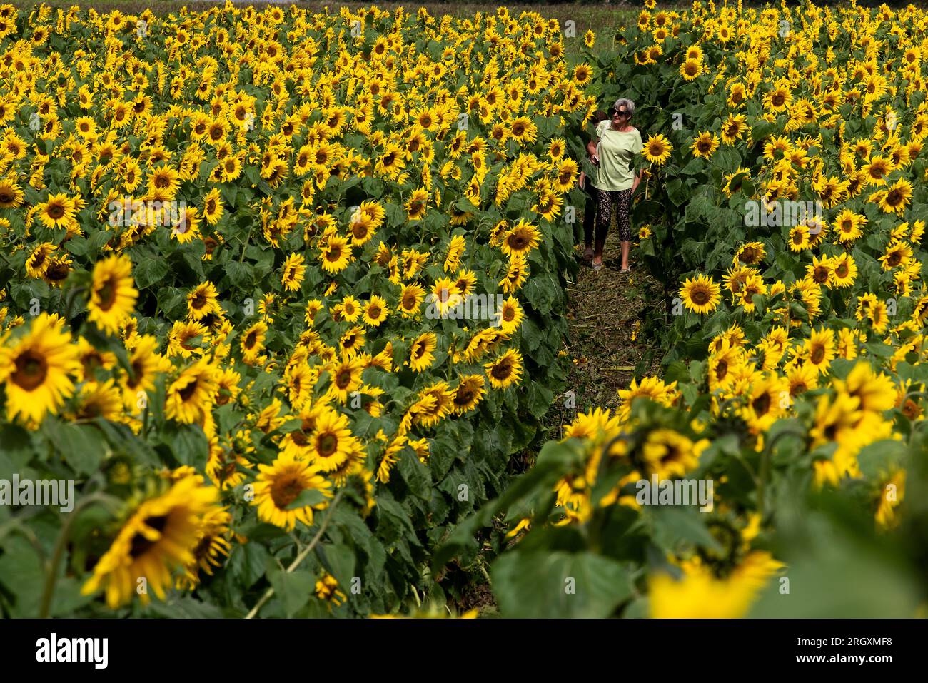Saxondale, UK. 12th Aug 2023. Yvonne Spence and granddaughter Lilly ...