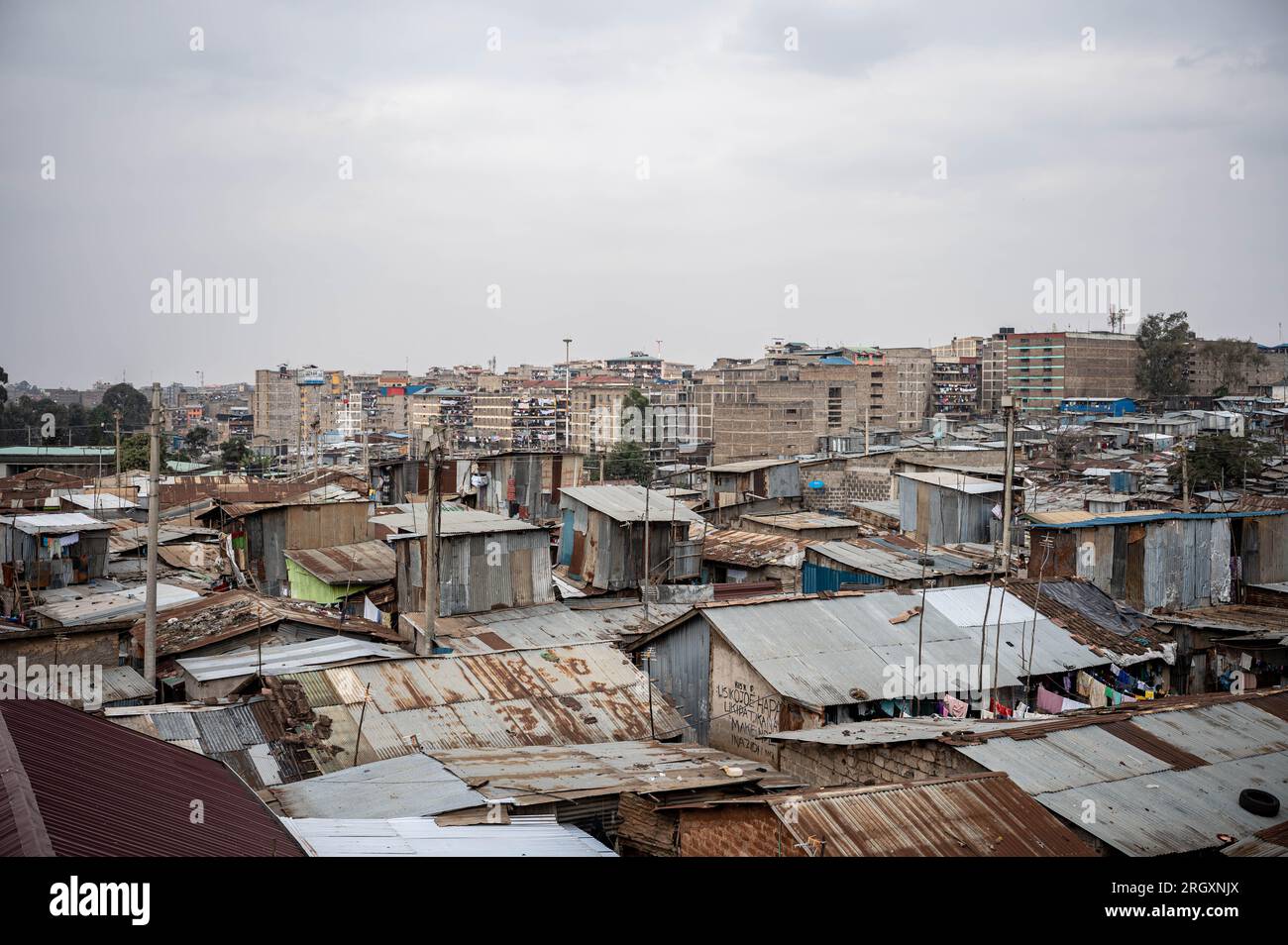 Nairobi. 11th Aug, 2023. This photo taken on Aug. 11, 2023 shows the ...