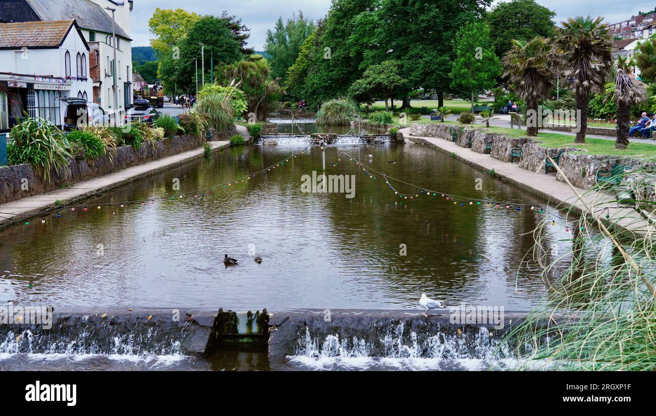The town centre of Dawlish in Devon with its stunning summer gardens ...