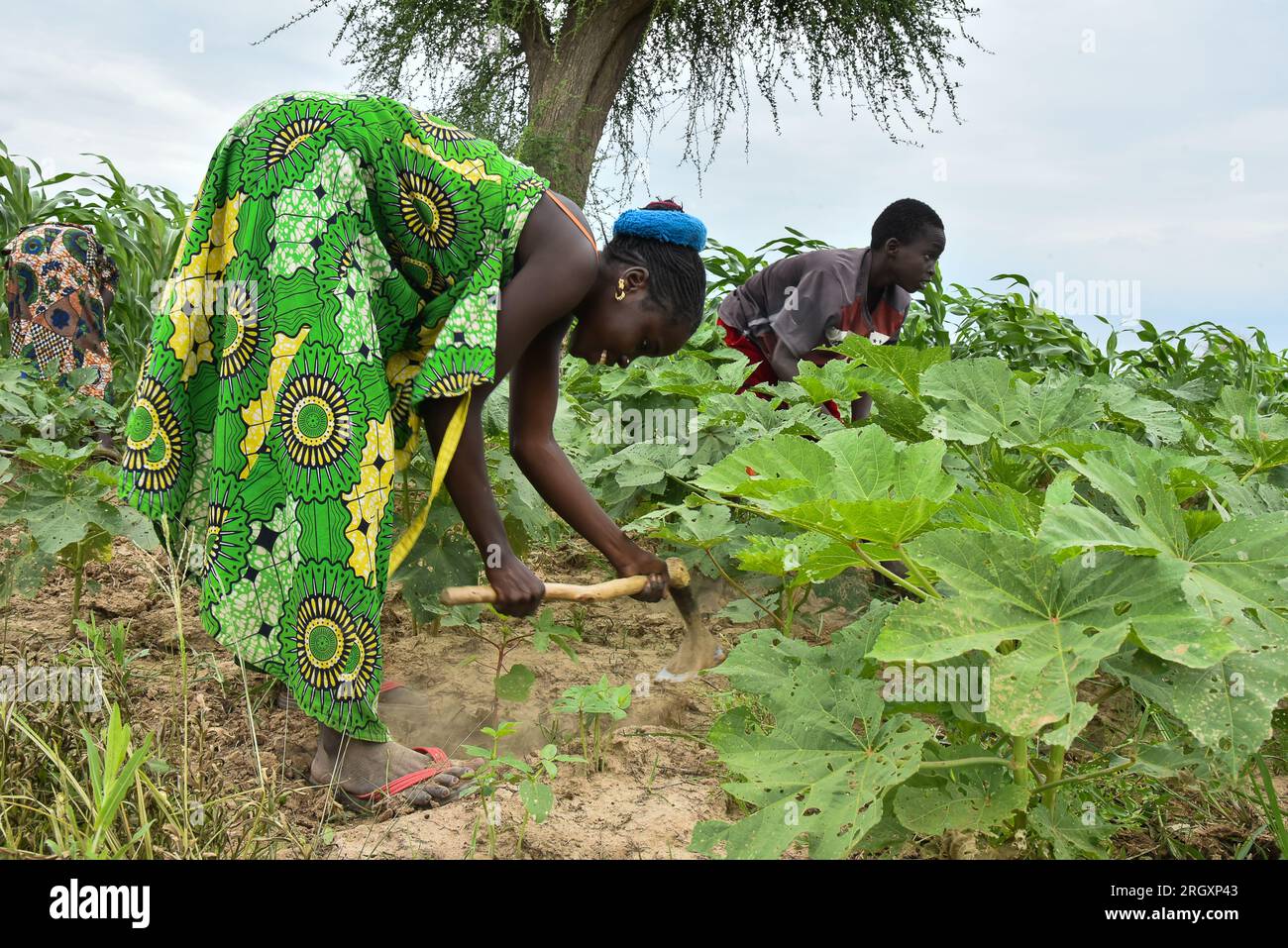 Conflict affected hi-res stock photography and images - Alamy