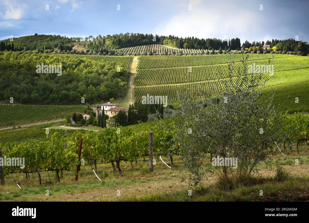 Florence, September 2020: Typical Tuscan landscape with spectacular ...