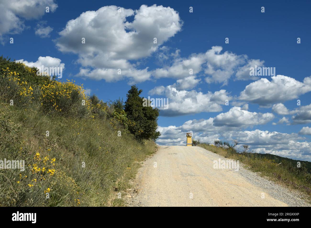 White gravel road with Tabernacle and yellow broom flowers in the ...