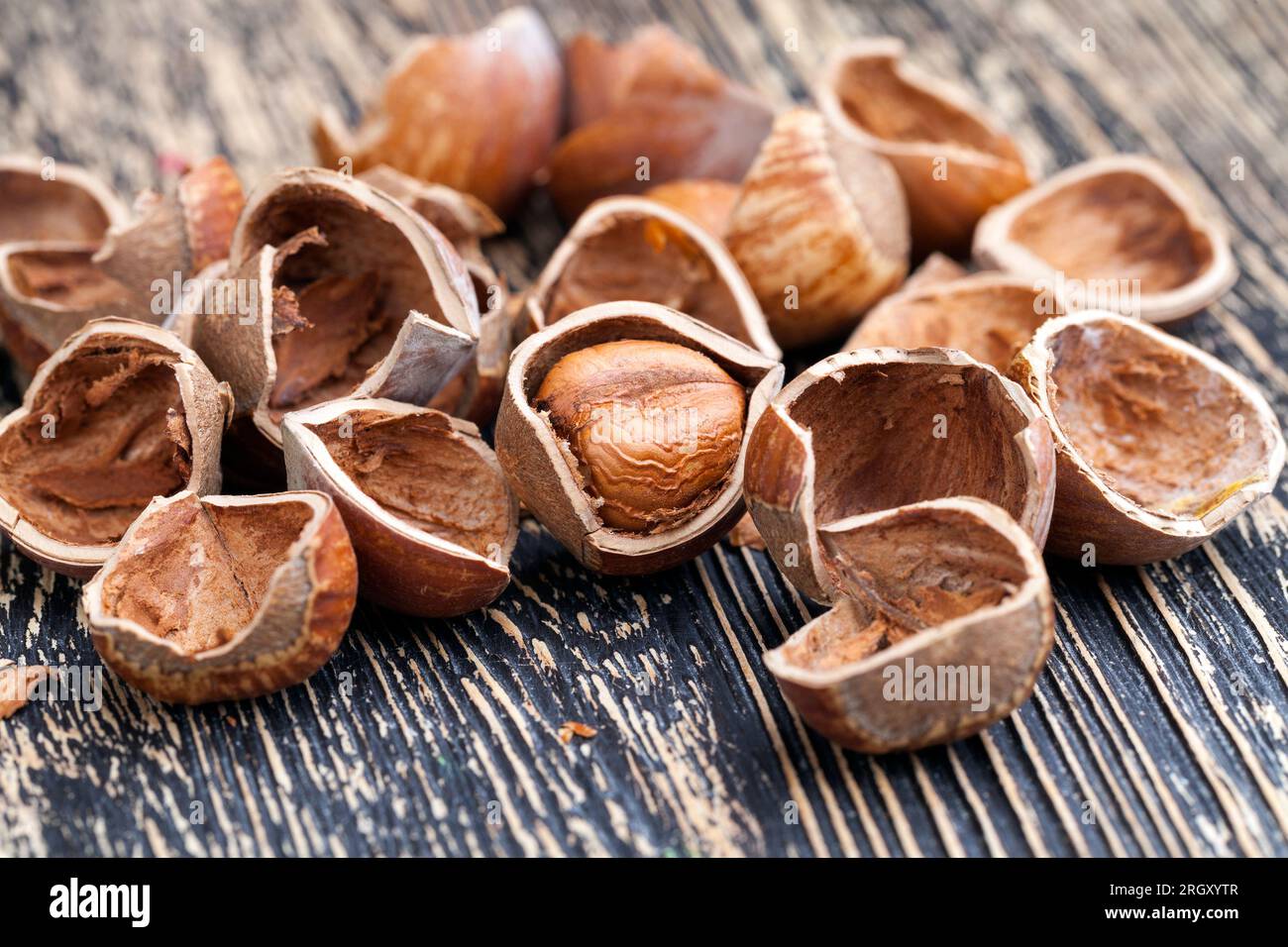 split hazelnuts on the table, split shells on raw hazelnuts during the ...