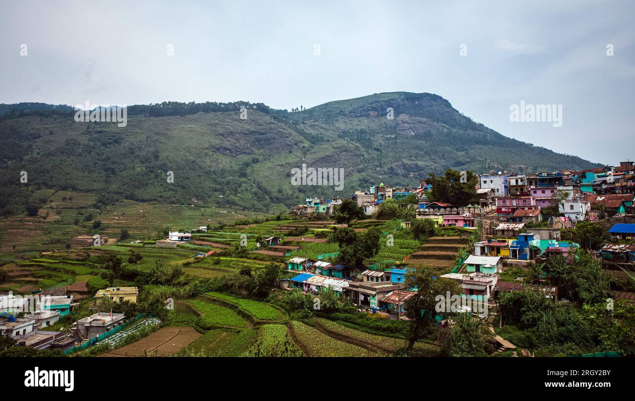 Beautiful Agriculture Farm Field View in Vattavada in Munnar,Idukki ...