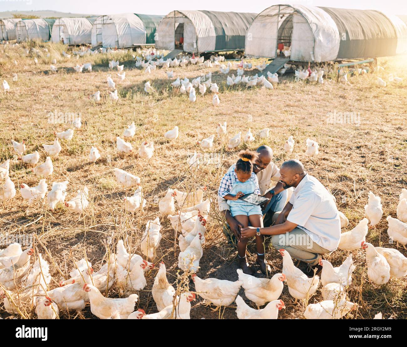 Family, chicken farm and gay people in countryside with sustainability ...