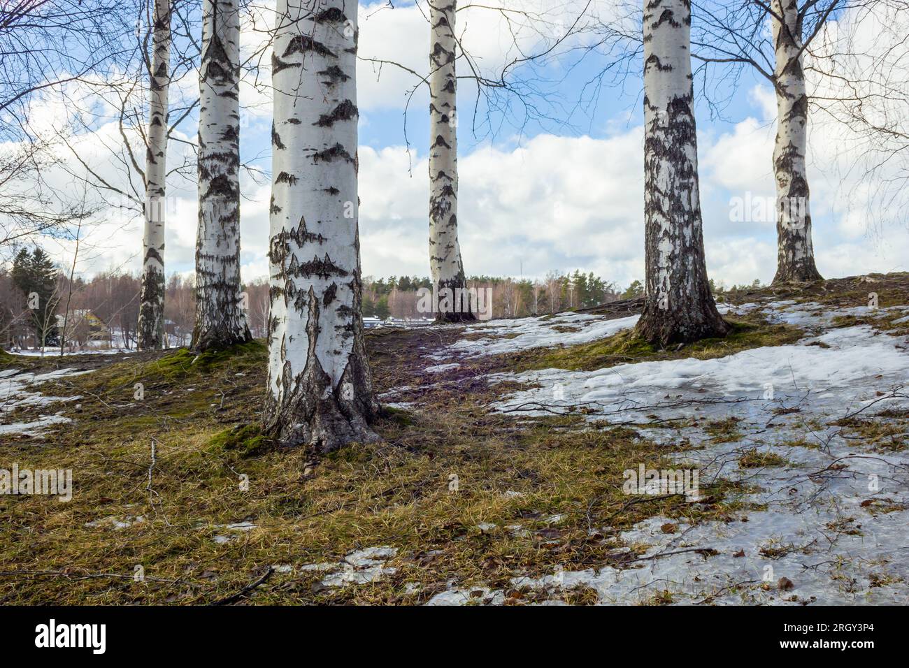 Snow melting spring time grass hi-res stock photography and images - Alamy