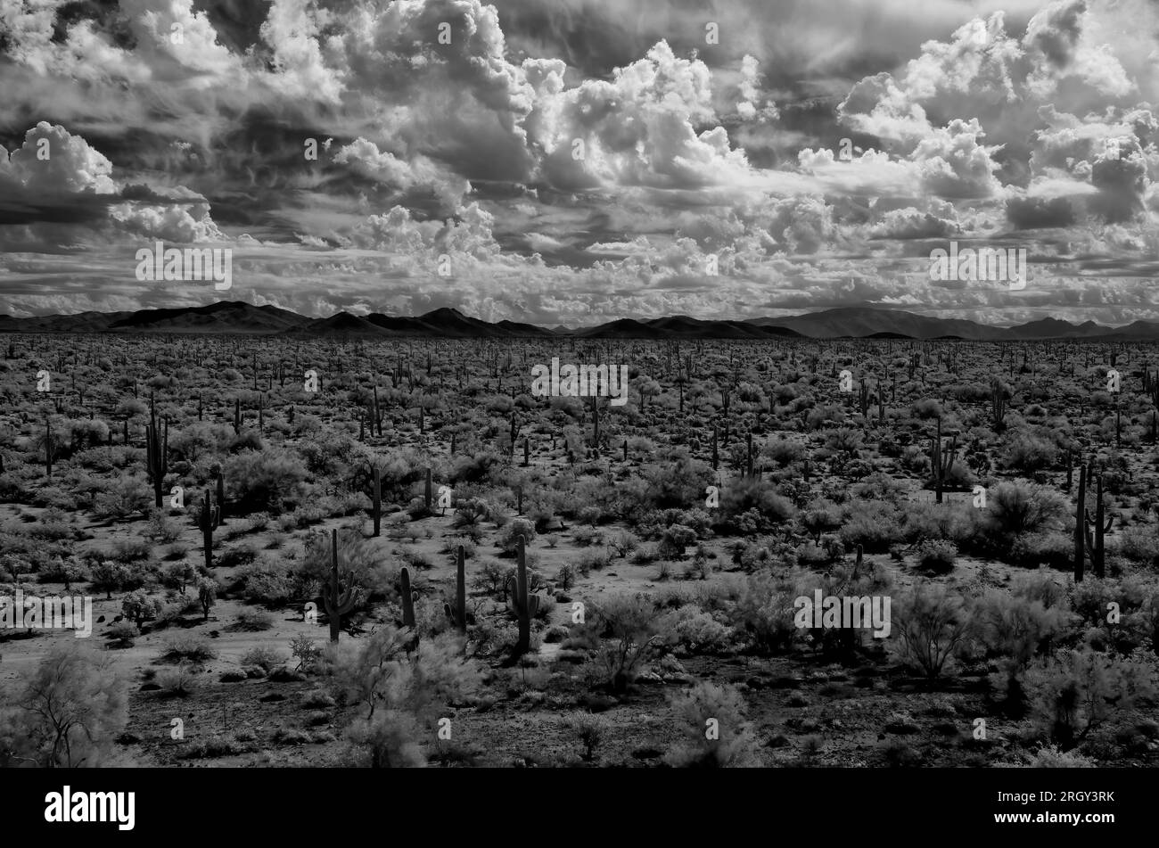 Infrared Sonora desert in central Arizona USA Stock Photo - Alamy