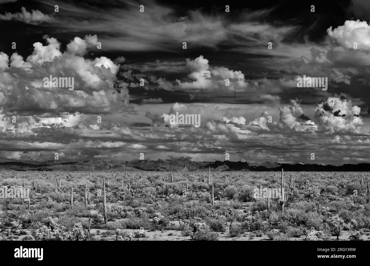 Infrared Sonora desert in central Arizona USA Stock Photo - Alamy
