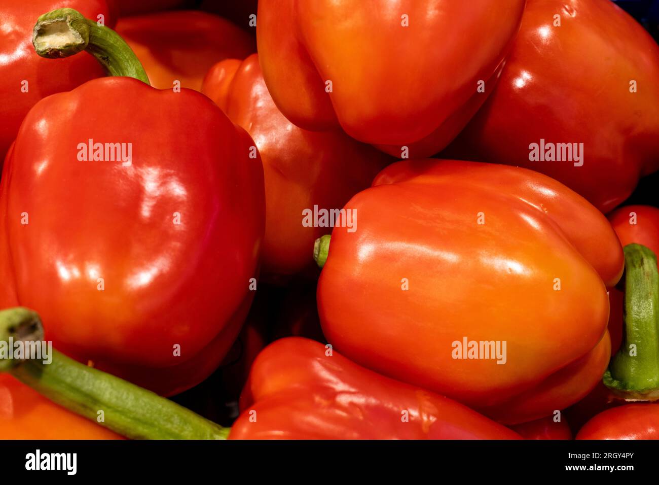 Close up bell pepper hi-res stock photography and images - Alamy