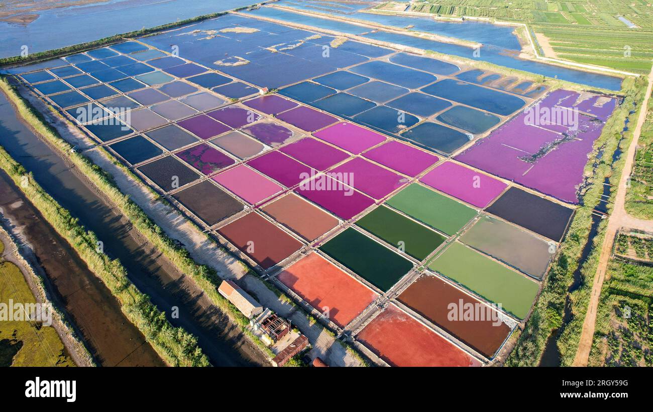 Rongcheng, China. 12th Aug, 2023. RONGCHENG, CHINA - AUGUST 11, 2023 ...