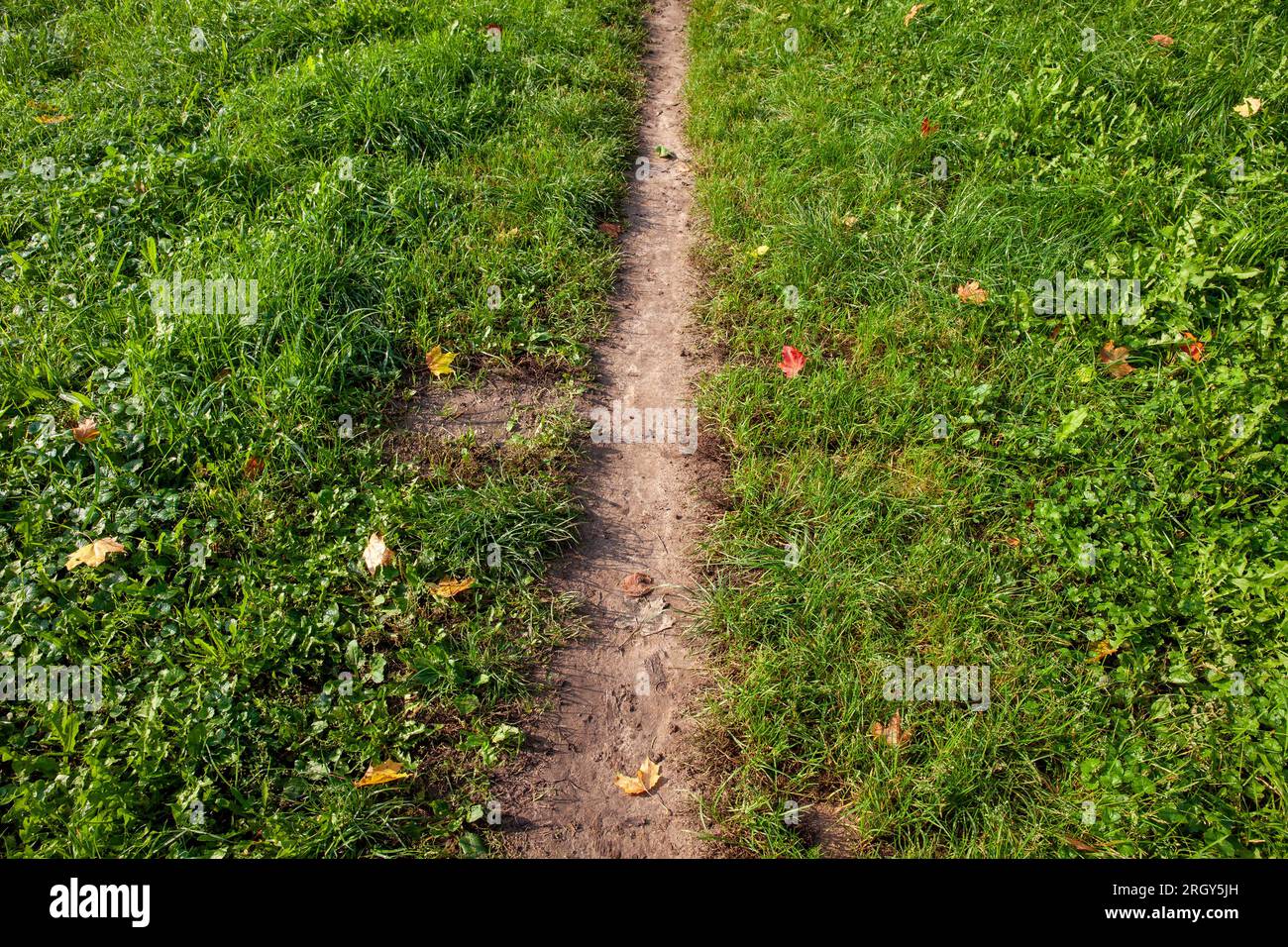 Trampled road hi-res stock photography and images - Alamy