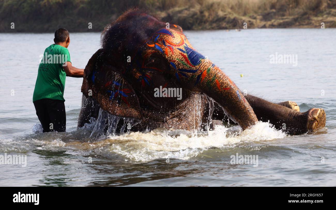Chitwan, Bagmati, Nepal. 27th Dec, 2018. File photo shows a mahout ...