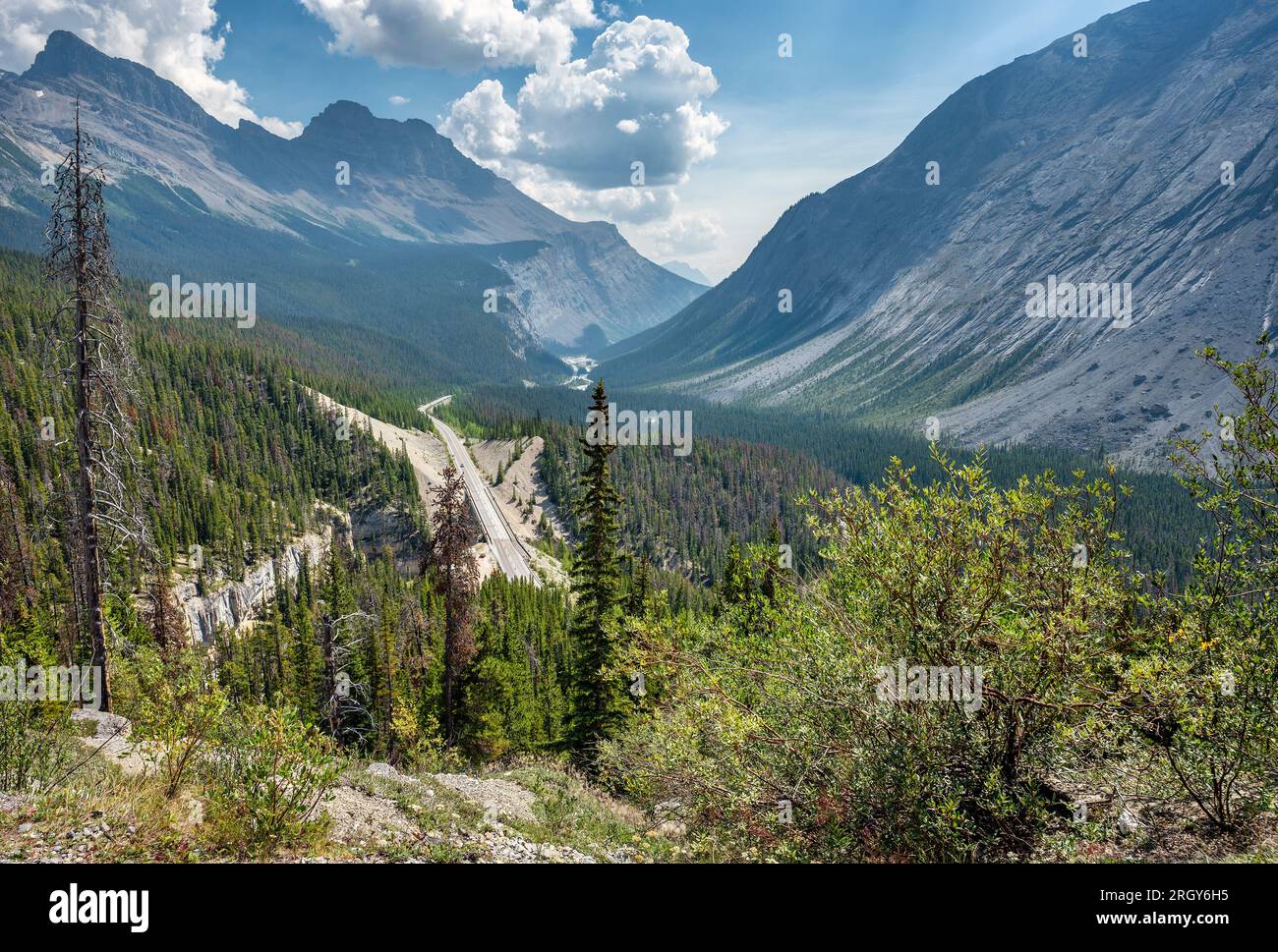 Overview of the North Saskatchewan River valley with the Icefields ...