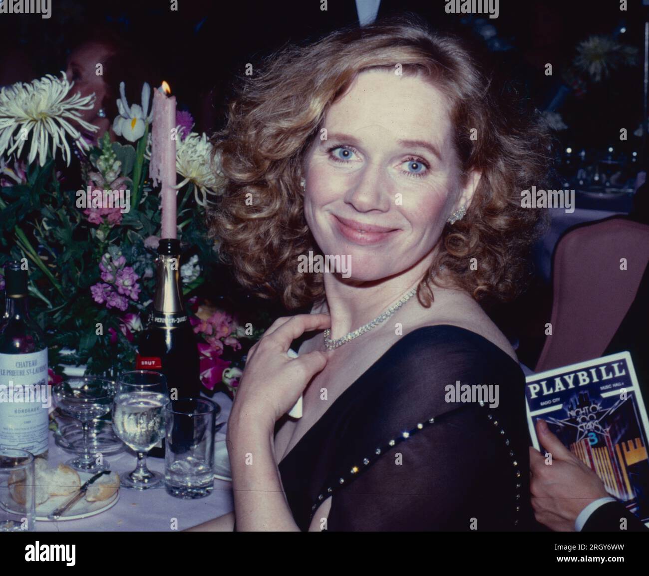 Liv Ullmann attends the after-party for "Night of 100 Stars 3" at the ...