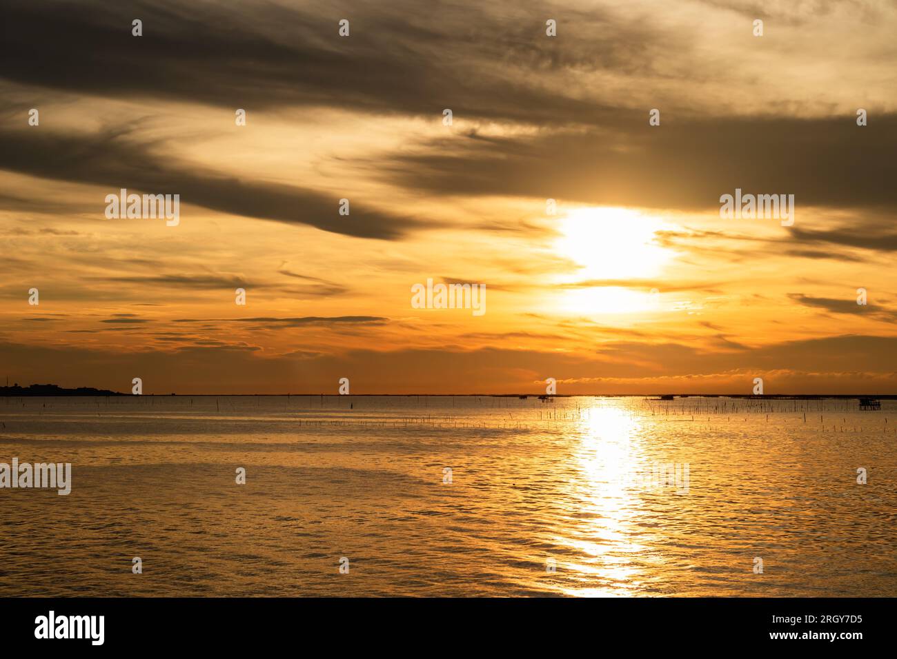 Cockle farming hi-res stock photography and images - Alamy