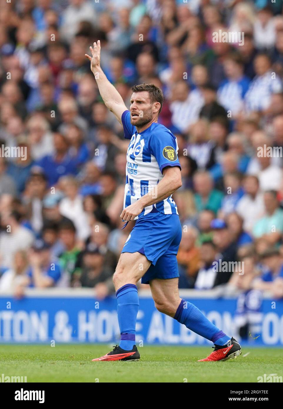 James milner brighton hi-res stock photography and images - Alamy