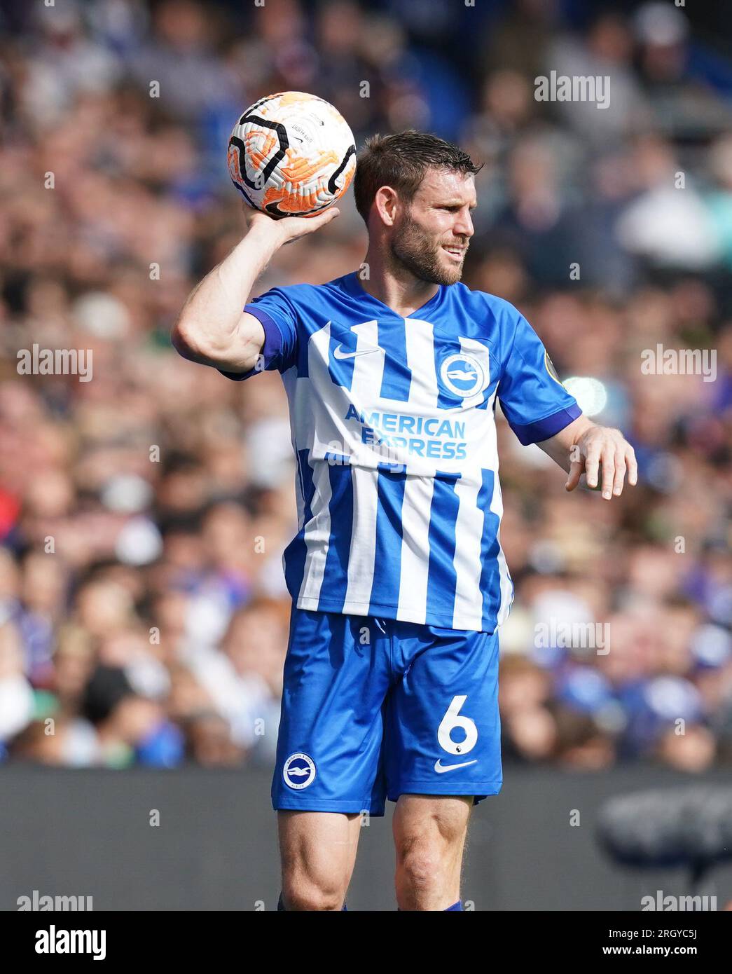 Brighton albion 12 august hi-res stock photography and images - Alamy