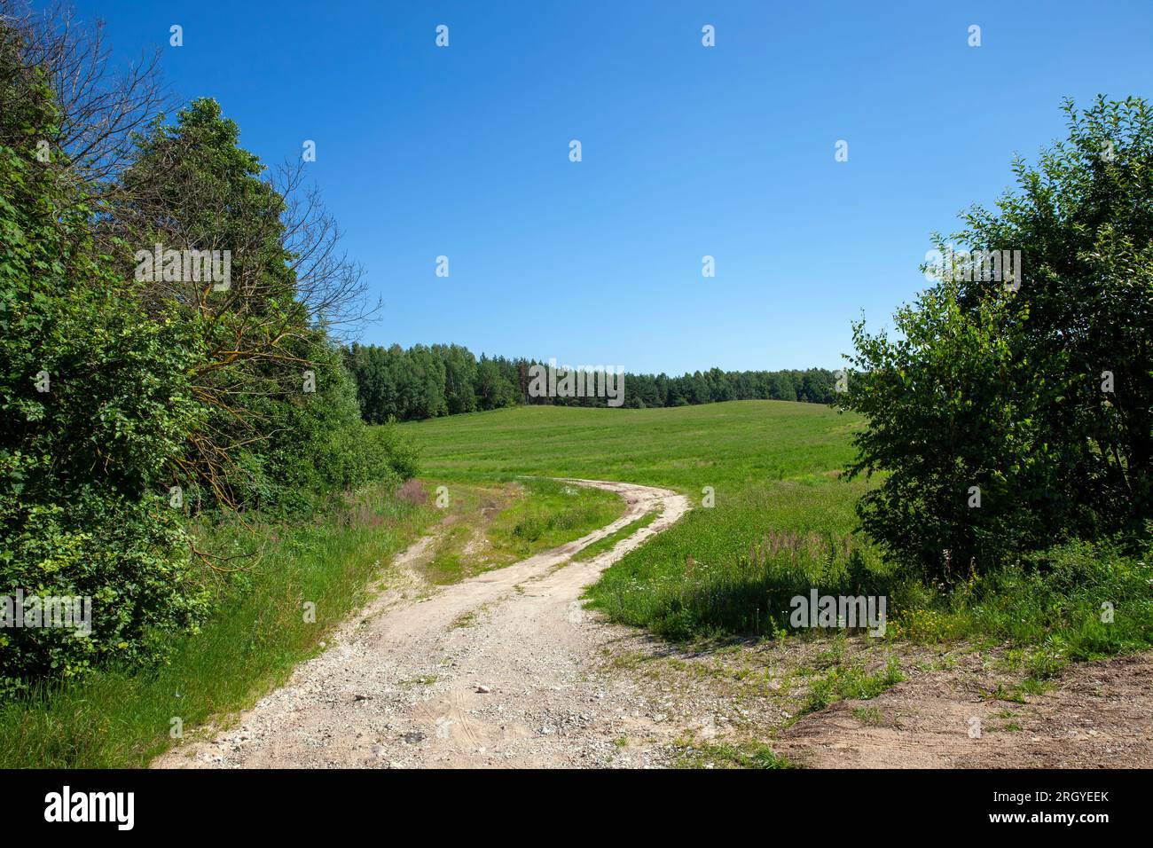 wheel ruts like a highway with a blue sky , a gravel rural highway ...