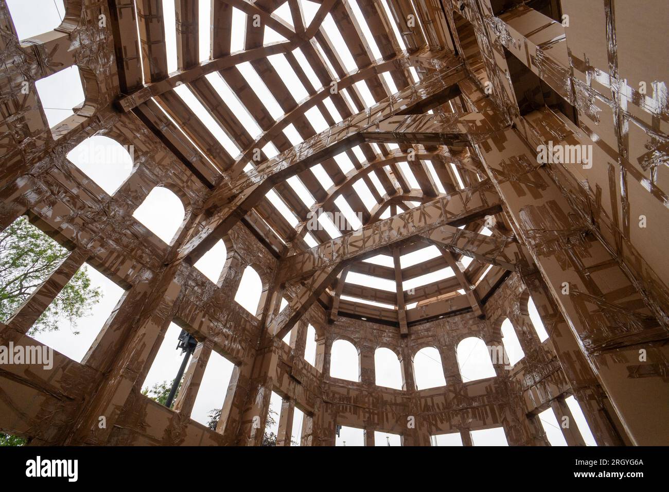 Hazel structure hi-res stock photography and images - Alamy