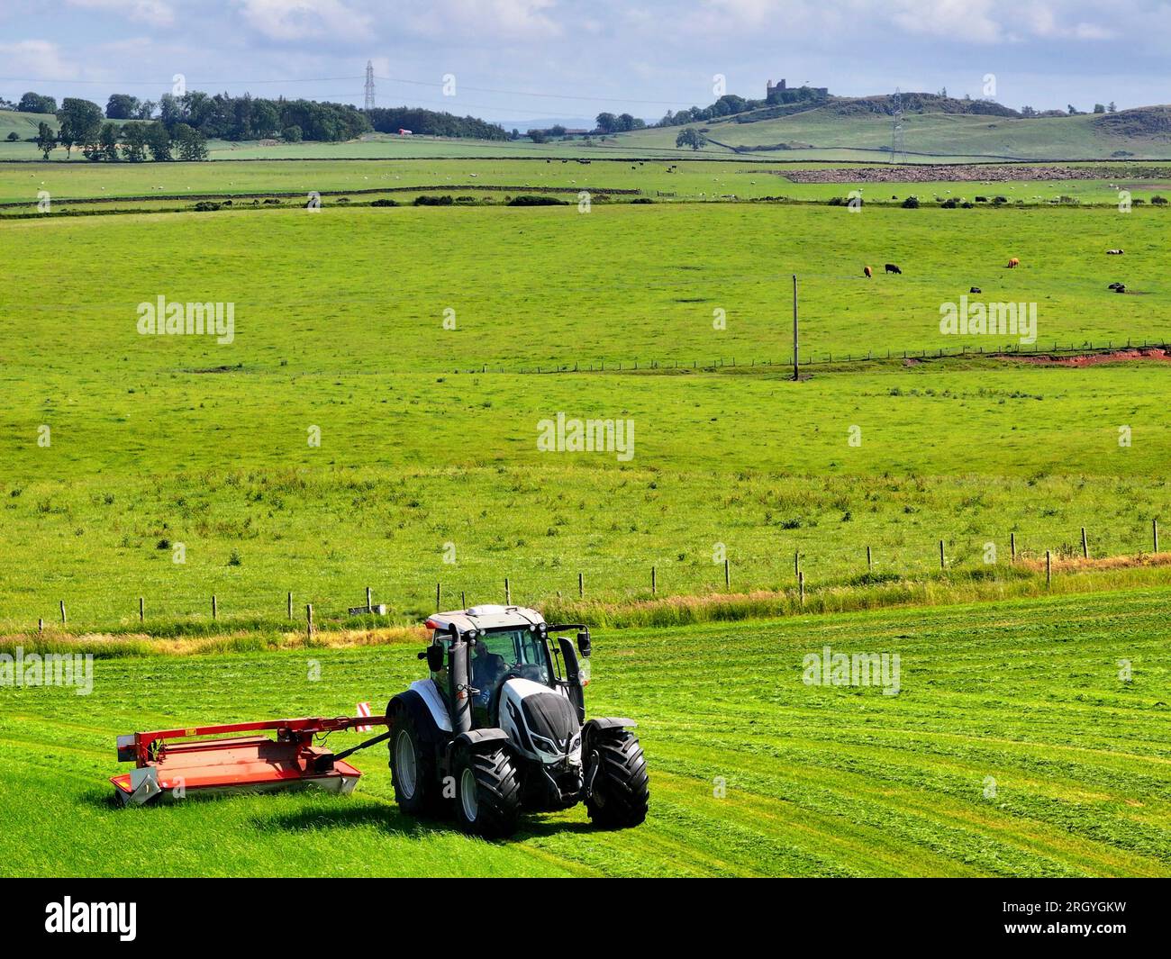 Cutting Silage in the Scottish Borders Rumbleton Farm with Hume Castle ...