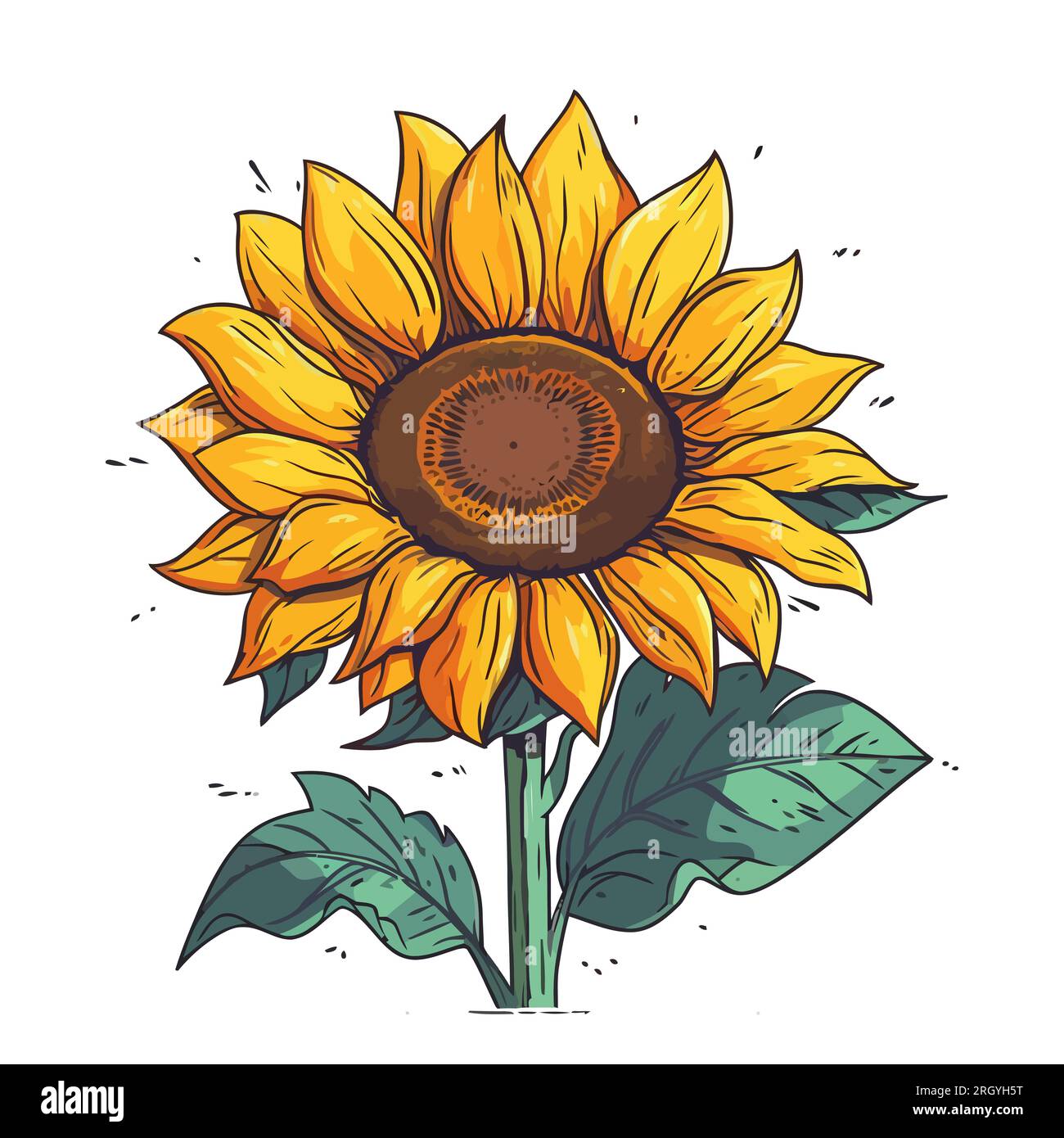 Sunflower flower. Sunflower flower image isolated. Cute sunflower ...
