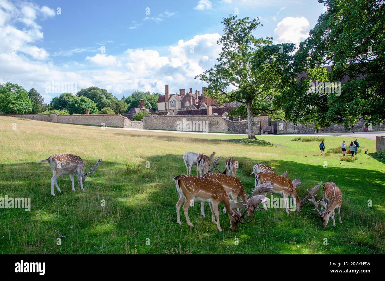 Knole house estate hi-res stock photography and images - Alamy