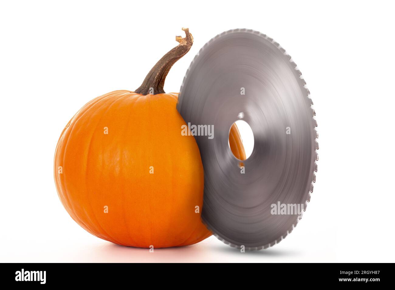 Pumpkin carving concept with a large spinning circular saw blade ...