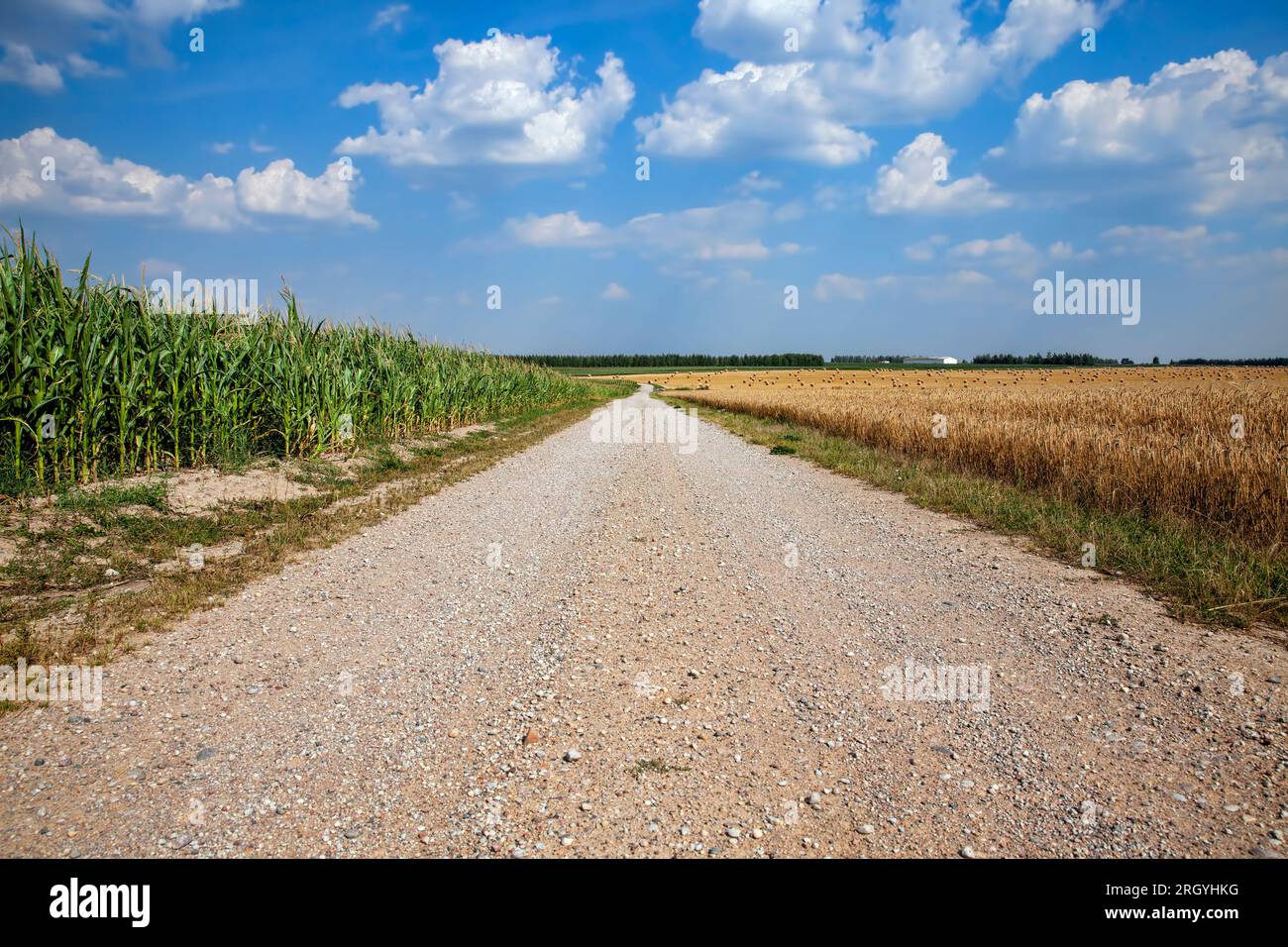 features on paved sandy road in rural area, road for traffic in rural ...