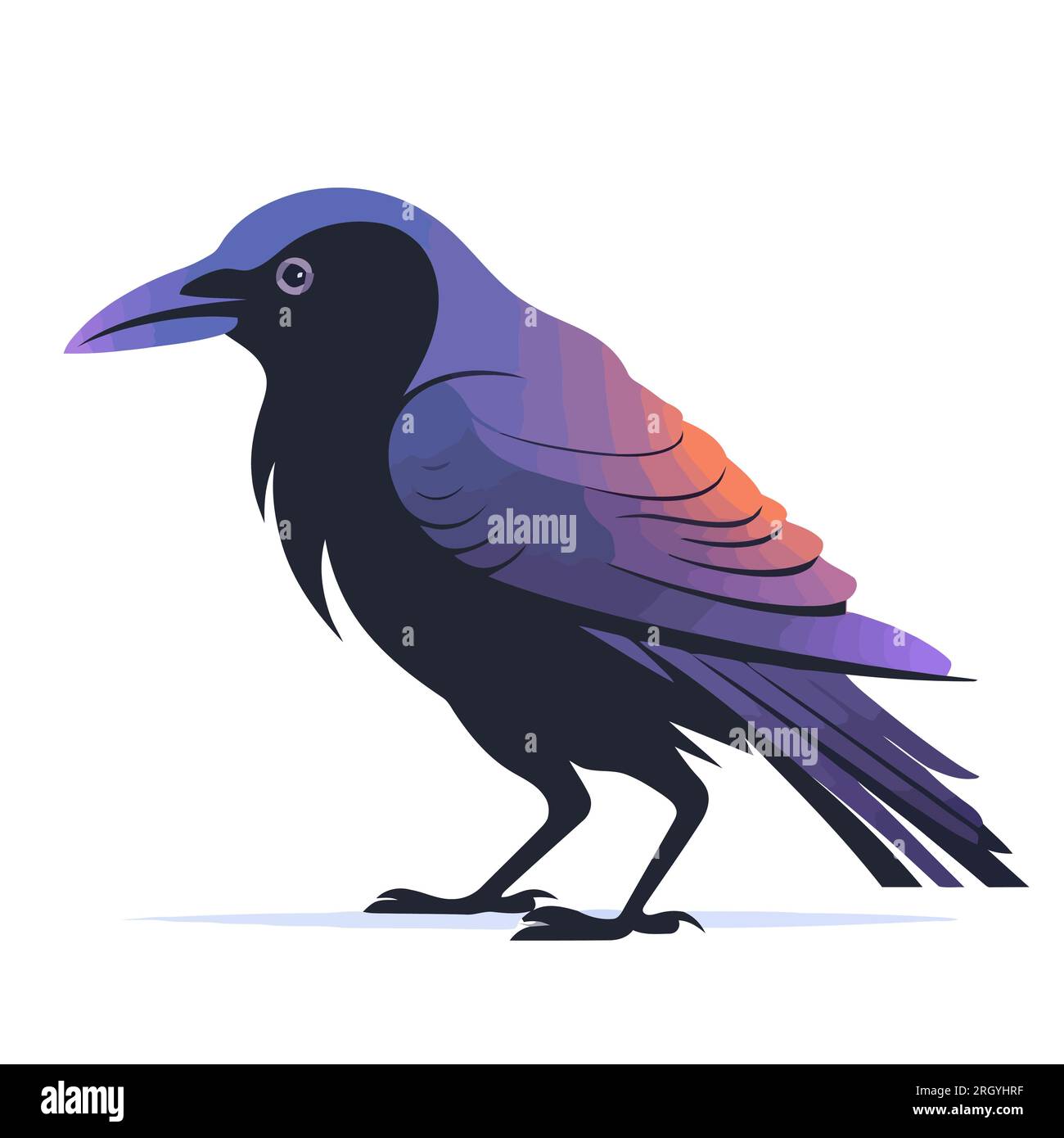 Crow image. Cute crow isolated on white background. Illustration of a ...