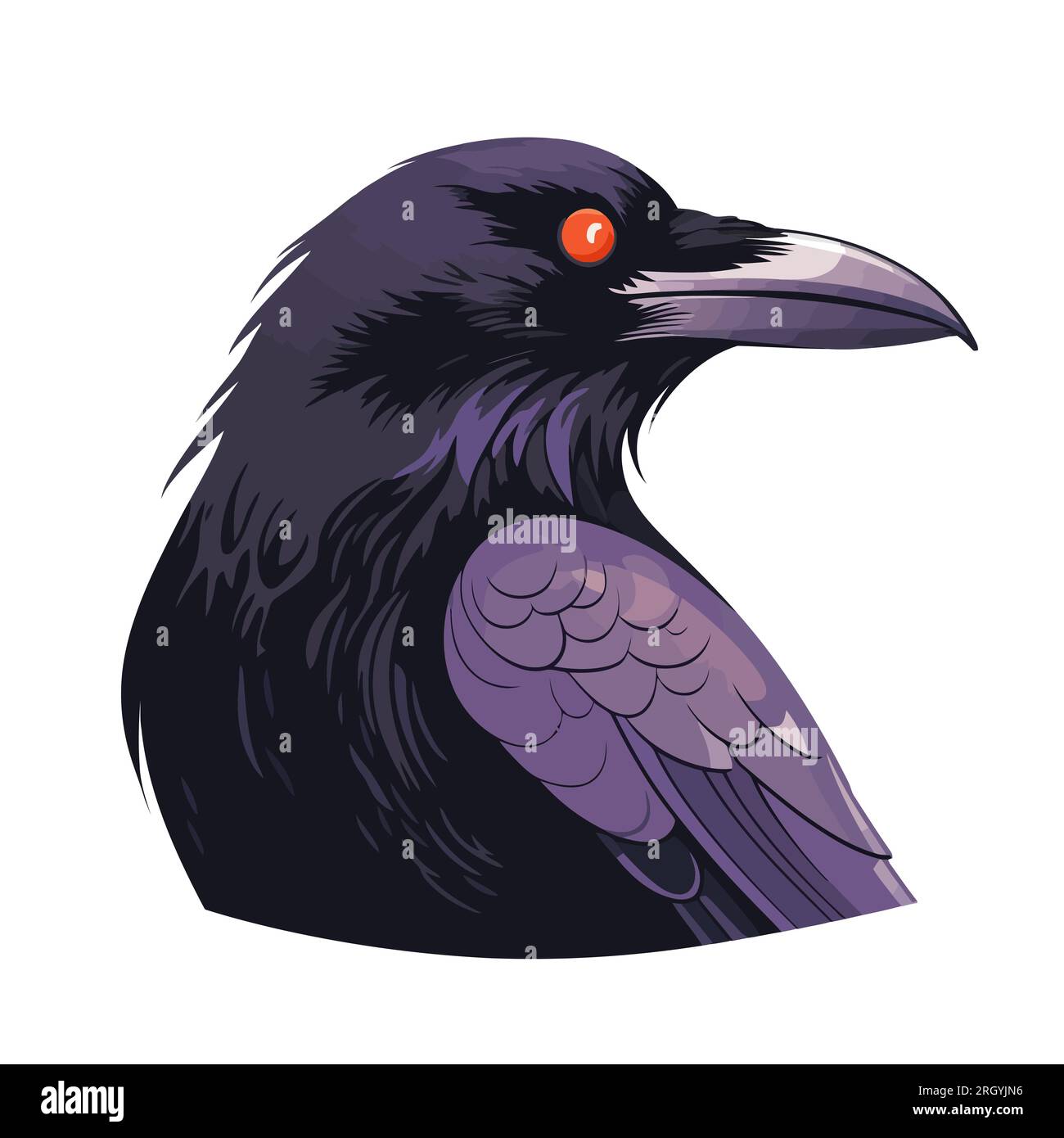 Crow image. Cute crow isolated on white background. Illustration of a ...