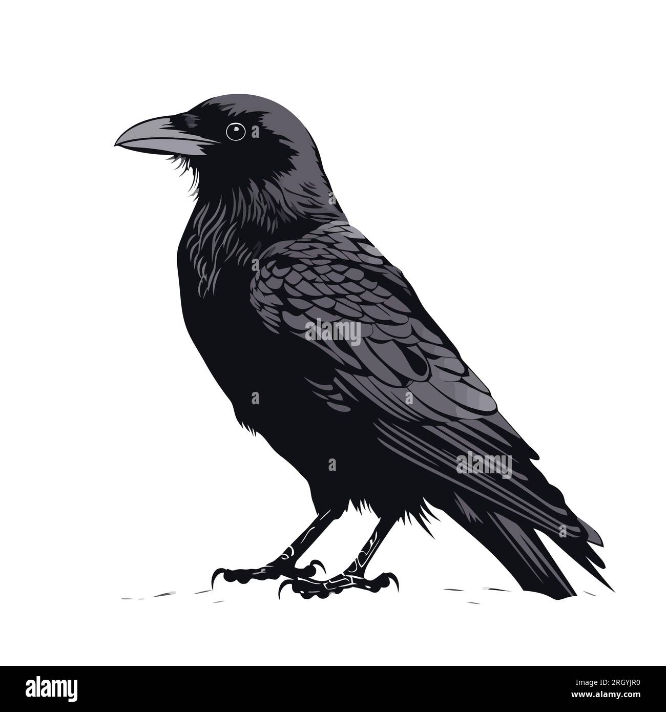 Crow image. Black crow isolated on white background. Illustration of a ...