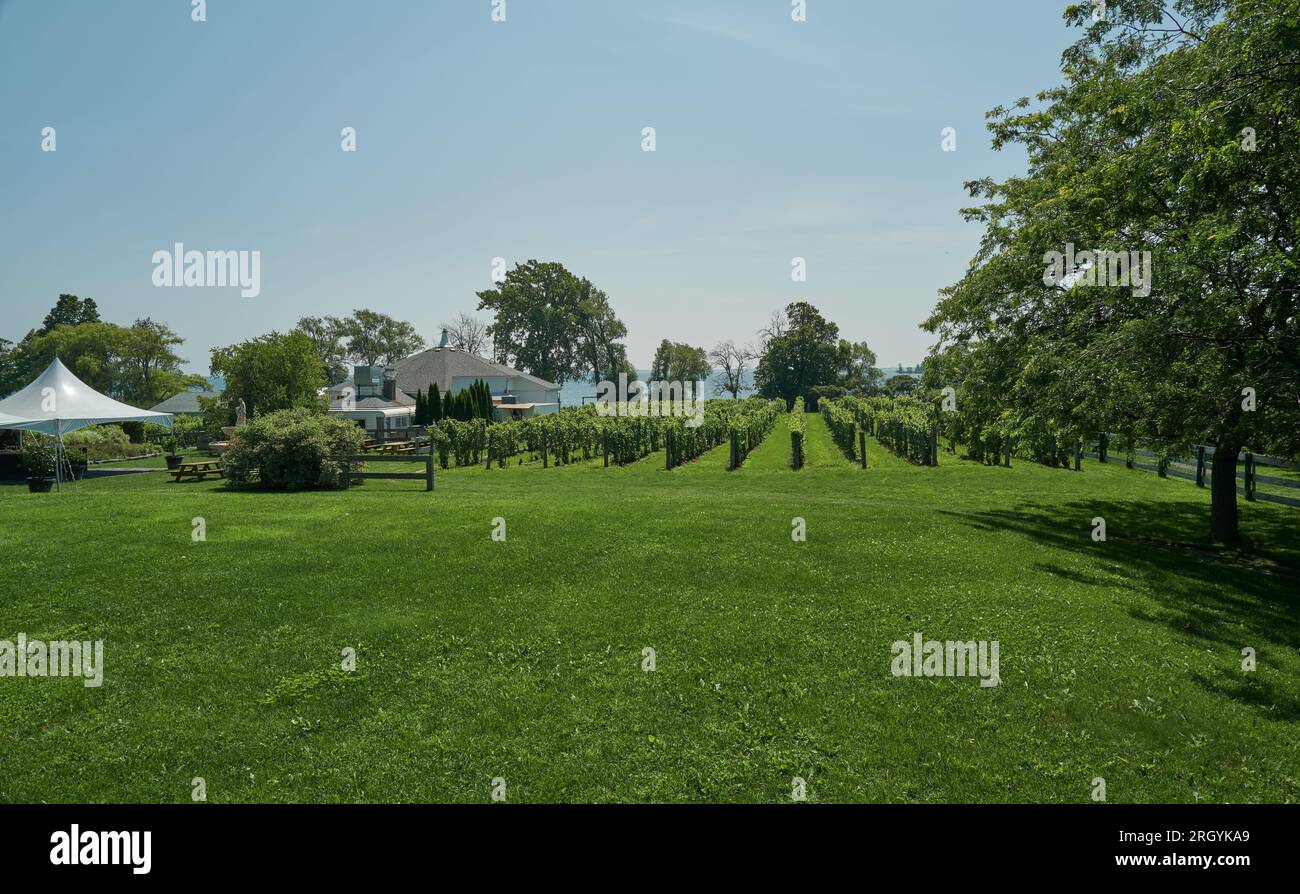Picton cemetery hi-res stock photography and images - Alamy